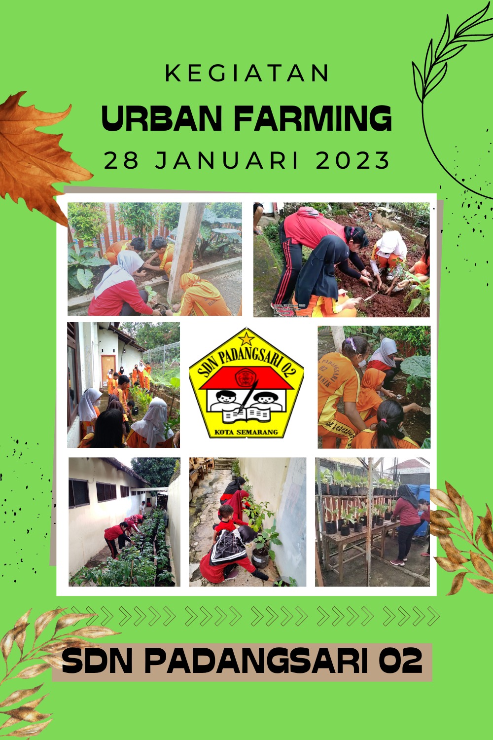 KEGIATAN URBAN FARMING